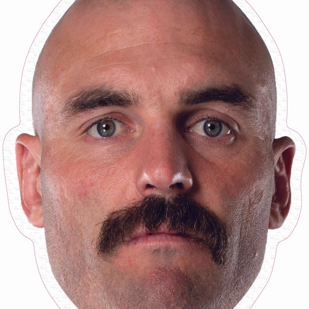 Mark Nicholls – Sports Heads