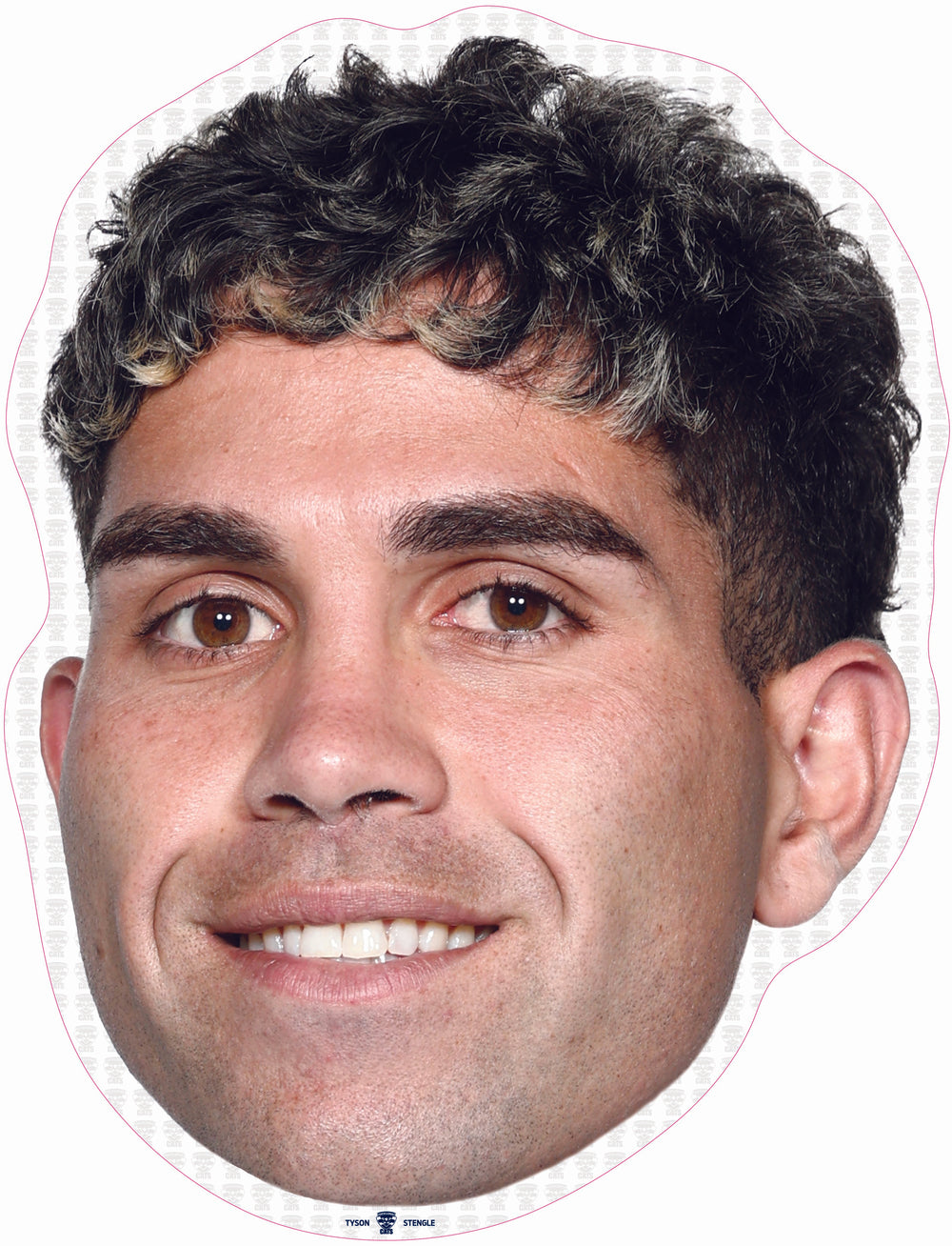 Geelong Cats Mascot Cut-out – Sports Heads