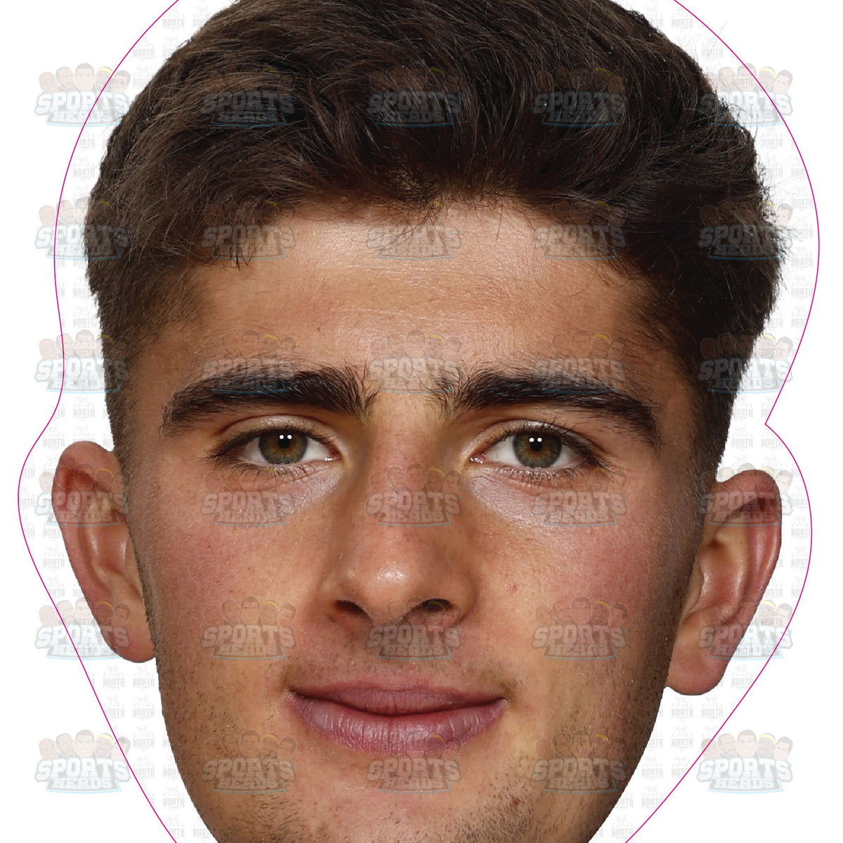 Harry Sheezel – Sports Heads