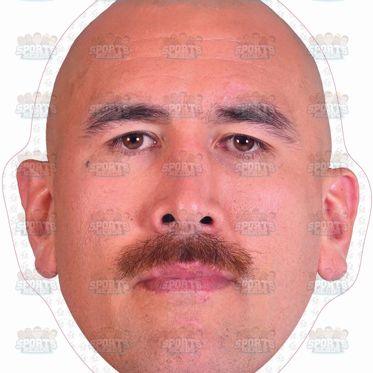 Nelson Asofa-Solomona – Sports Heads