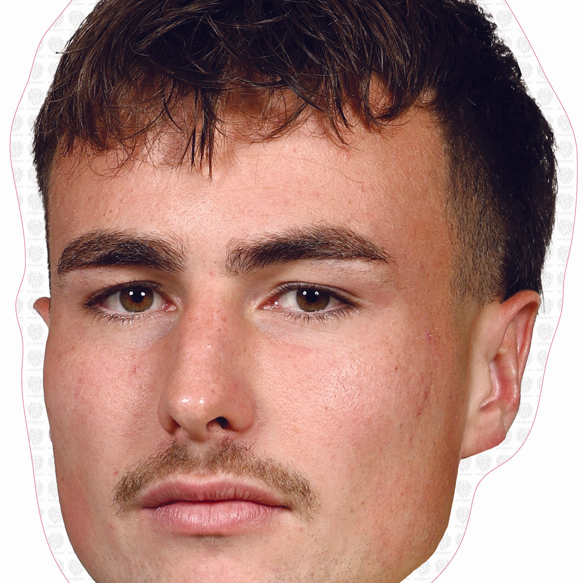 Steely Green – Sports Heads