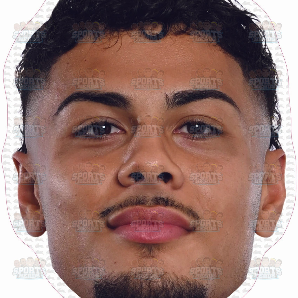 Talanoa Penitani – Sports Heads